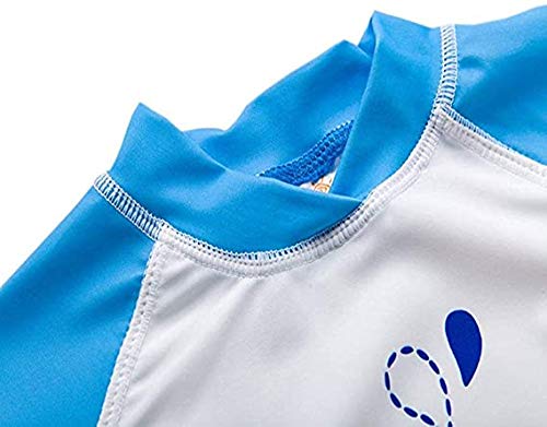 Baby Toddler Boys Two Pieces Swimsuit Set Boys Bathing Suit Rash Guards with Hat UPF 50+ FBA (Crab-c, 6-9 Months)