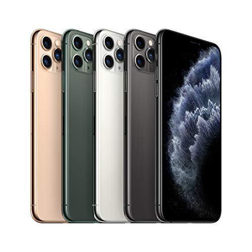 Apple iPhone 11 Pro Max [64GB, Silver] + Carrier Subscription [Cricket Wireless]