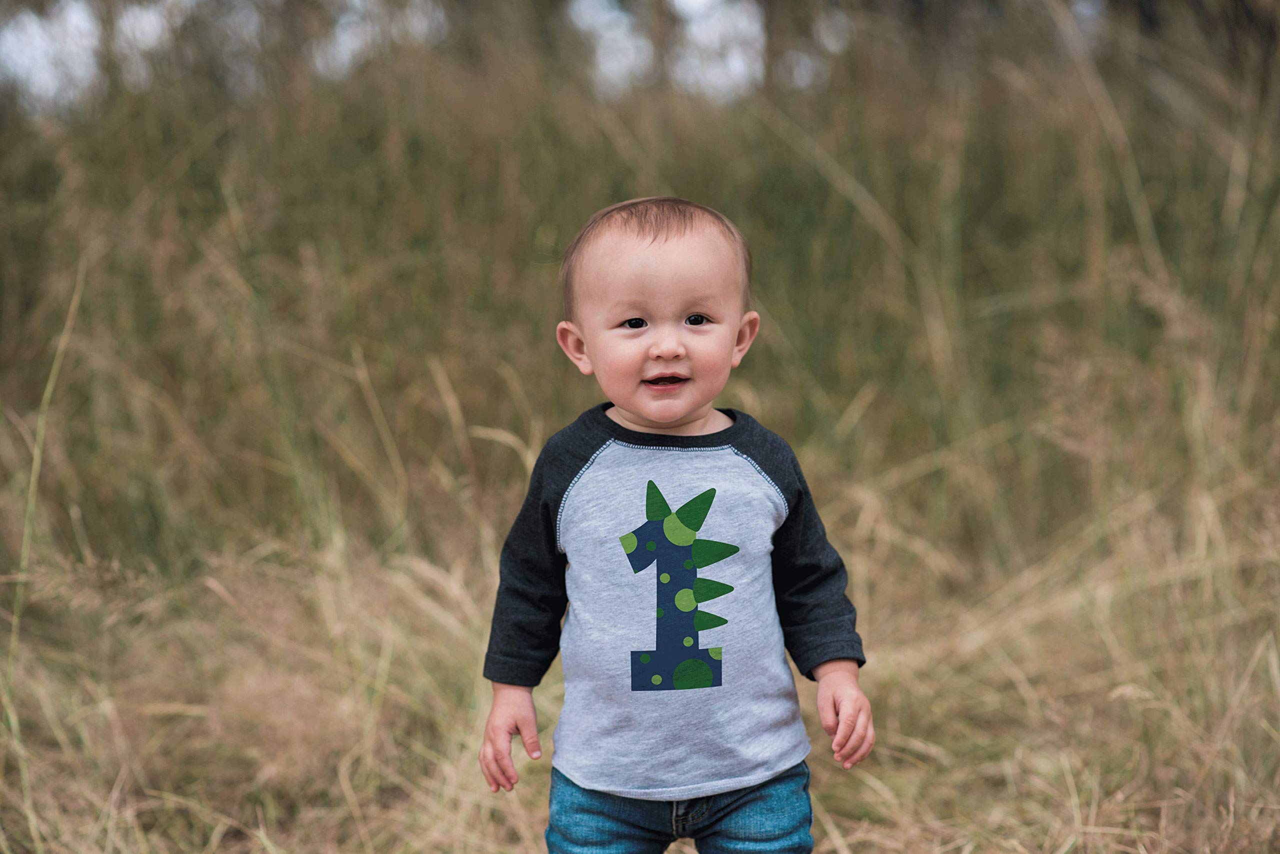 7 ate 9 Apparel Boy's One 1st 1 First Birthday Dinosaur Spike Dino Grey Raglan Tee 18 Months