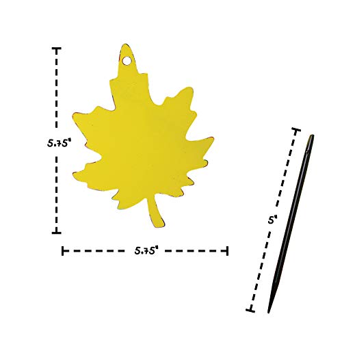 Neliblu Magic Fall Colors Scratch Fall Craft Art Set - Colorful Scratch Paper Autumn Leaves in Bright Fall Colors - Set of 24 Leaves, 24 Scratch Sticks and 24 Ribbons