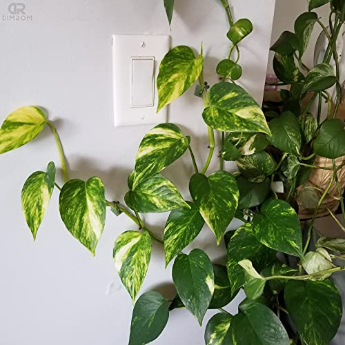 110Pcs Wall Plants Climber Vine Sticky Wall Clips Green 3 Different Size Wall Fixture Clips | Plant Fixture Cable Clips Self-Adhesive Plant Clips Fixing Hook Wall Vine Supports Traction Wall Clip