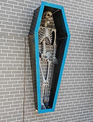5.4ft/165cm Halloween Skeleton - Halloween Human Skeletons Full Body Bones with Movable Joints for Halloween Props Spooky Party Decoration