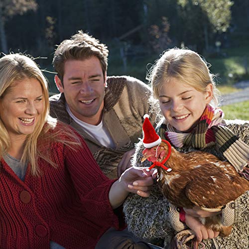 GABraden 2 Pack Christmas Chicken hat and Christmas Chicken Scarf,Adjustable Christmas Chicken Hat,Christmas Clothes for Chicks and hens (2-Red, Christmas)