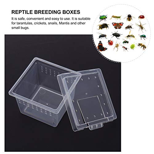 balacoo 100Pcs Reptile Breeding Box Plastic Transparent Feeding Case Hatching Container with Lid for Spider Scorpion Gecko Insect Snake Tortoise