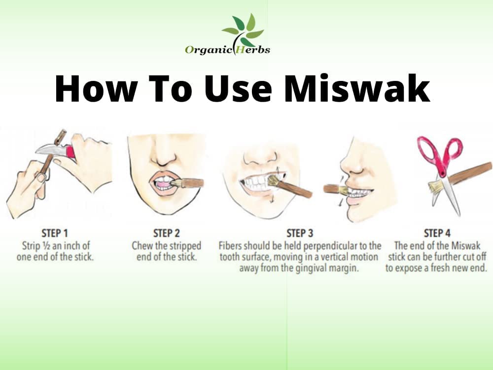 Billion Deals Natural Traditional Miswak (sewak) Peelu Chewing Stick Toothbrush for Whiter Teeth -15pc