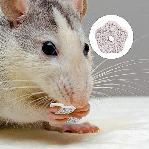 balacoo 12Pcs Small Animal Chew Toys Lava Bites Toy Pet Teeth Toy Molar Toy Biting Toy Pet Supplies for Guinea Hamster Rabbit Rat