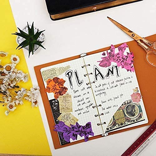 Phomemo M02 Mini Printer- Bluetooth Thermal Photo Printer with 3 Rolls Colorful Sticker Paper, Compatible with iOS + Android for Plan Journal, Study Notes, Art Creation, Work, Gift,White