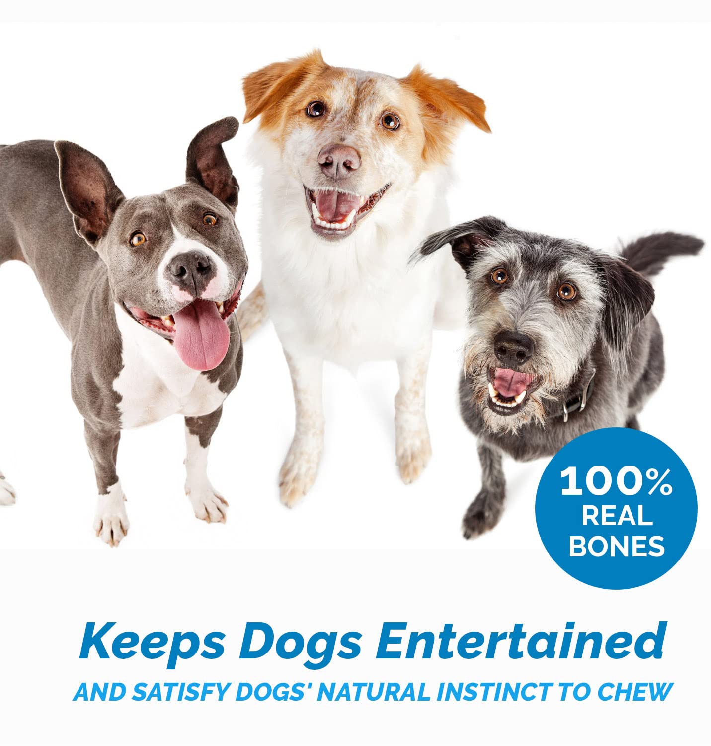 123 Treats - Meaty Dog Bone Treat - Large 100% Natural Pork Chews for Dogs Dog Bones for Aggressive Chewers (Pork, 2 Count)