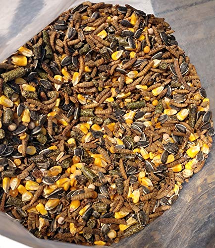 Chicken Feed Treat 10 lbs | USA Produced Grubs (Black Fly Larvae) & Organic Whole Grains