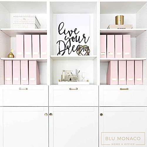 BLU MONACO Set of 6 Foldable Pink Cute Magazine Holders with Gold Label Holders - Stylish Magazine Storage for Desk, Shelves, and Closets - Book Bins, Files Organizers and Document Storage