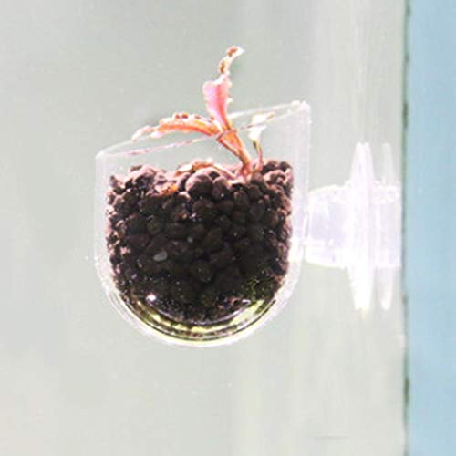 Aquarium Red Worm Fish Feeder Transparent Suction Cup Fish Tank Feeding Cup Food Container for Feeding Shrimp Fish(Acrylic Crack Cup)