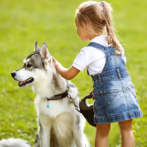 Aoche Pet Bells for Dog Cat Collar 6 pack,Charm Pet Pendant Accessories with1 Pack Stainless Steel Keychain (XS)