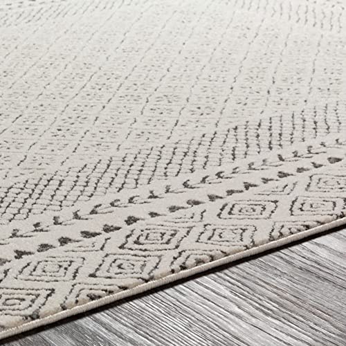Artistic Weavers Melodie Boho Farmhouse Runner Area Rug,2'7" x 10',Beige