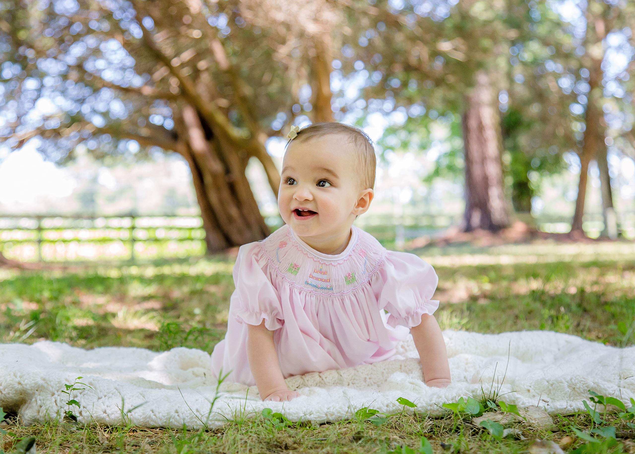 Petit Ami Baby Girls' Birthday Smocked Dress, 24 Months, Pink