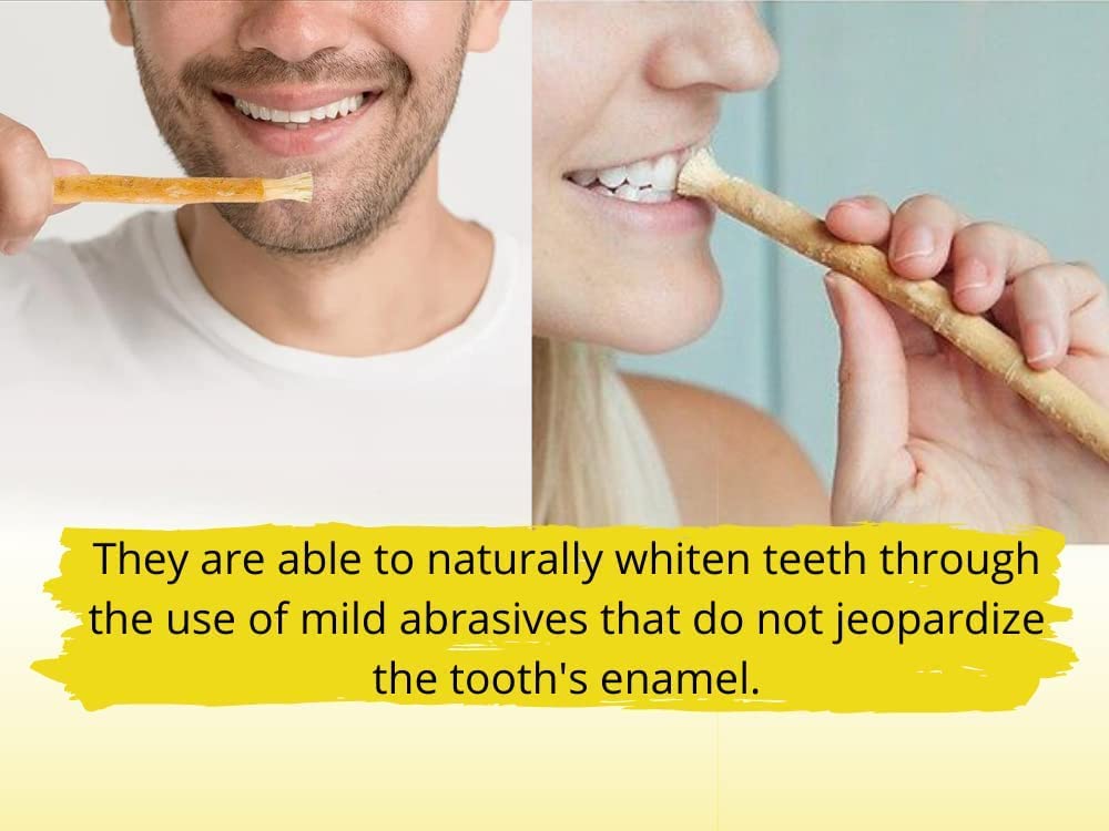 Billion Deals Natural Traditional Miswak (sewak) Peelu Chewing Stick Toothbrush for Whiter Teeth -15pc