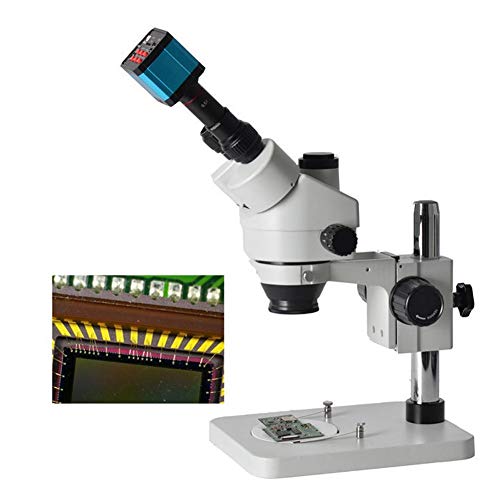 37MP 1080P 60FPSUSB Microscope Camera Video Industry MicroscopeCamera with Conversion Adapter, 100-240V Microscope Digital Camera C Mount Microscope Camera (US Plug)