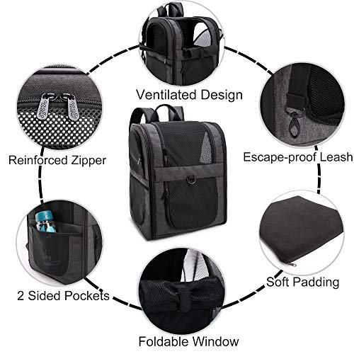 Apollo Walker Pet Carrier Backpack for Large/Small Cats and Dogs, Puppies, Safety Features and Cushion Back Support for Travel, Hiking, Outdoor Use (Black)