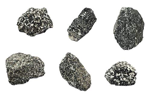 6PK Raw Diorite, Igneous Rock Specimens - Approx. 1" - Geologist Selected & Hand Processed - Great for Science Classrooms - Class Pack - Eisco Labs