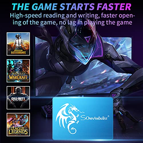 Somnambulist 2.5" Built-in SSD Hard Disk SATA3 120GB 240GB 60GB SSD (Blue Dragon-120GB)