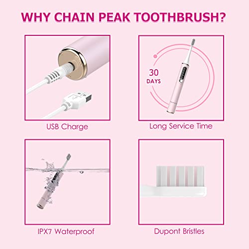 Adults Sonic Electric Toothbrush, Rechargeable Electric Toothbrush for Man Women, Couples Toothbrush with LED Mode Indicator, 30s Reminder, 2 Mins Timer, 5 Modes, 4 Brush Heads, Wall-Mount Holder
