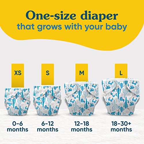 2-in-1 Reusable Fleece Cloth Diapering System, Reusable and Washable, 6 Diapers and 12 Inserts, Dessert, One Size