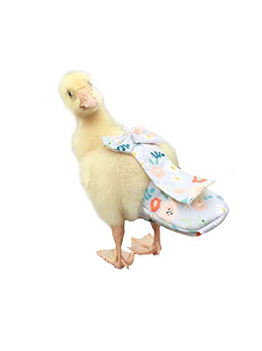 HEZHUO Duck Diapers, Chicken Diapers, Special Diapers for Poultry, Chicken, Duck and Goose Waterproof, Adjustable, Washable and Reusable Diapersļ¼Poultry Supplies, Duck Supplies (M:200g-250g)