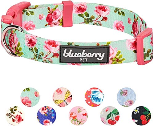 Blueberry Pet 7 Patterns Spring Scent Inspired Floral Rose Print Turquoise Adjustable Dog Collar, X-Small, Neck 8"-11"