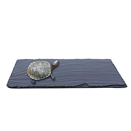 ACKEIVTO Small Slate Reptile Basking Platform Tortoise Feeding Dish Natural Rock Reptile Food Bowl Landscape Habitat Decor for Turtle Lizard Bearded Dragon Crested Gecko Snake 4 * 4