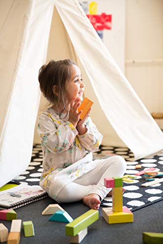 6 Piece Tegu Pocket Pouch Prism Magnetic Wooden Block Set, Tints