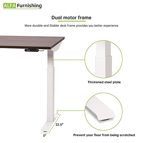 ALFA FURNISHING Quick Install Standing Desk, 48 X 30 Inches Dual Motor Electric Stand Up Desk, Adjustable Height Sit Stand Desk with Whole-Piece Desktop, 4 Pre-Set Memory(Walnut Top+White Frame)