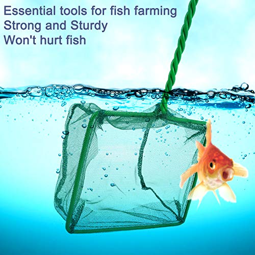 2 Pack Aquarium Fish Nets, DSSPORT 4 Inch Small Mesh Fish Catch Nets with Plastic Handle Green (Pine Green)