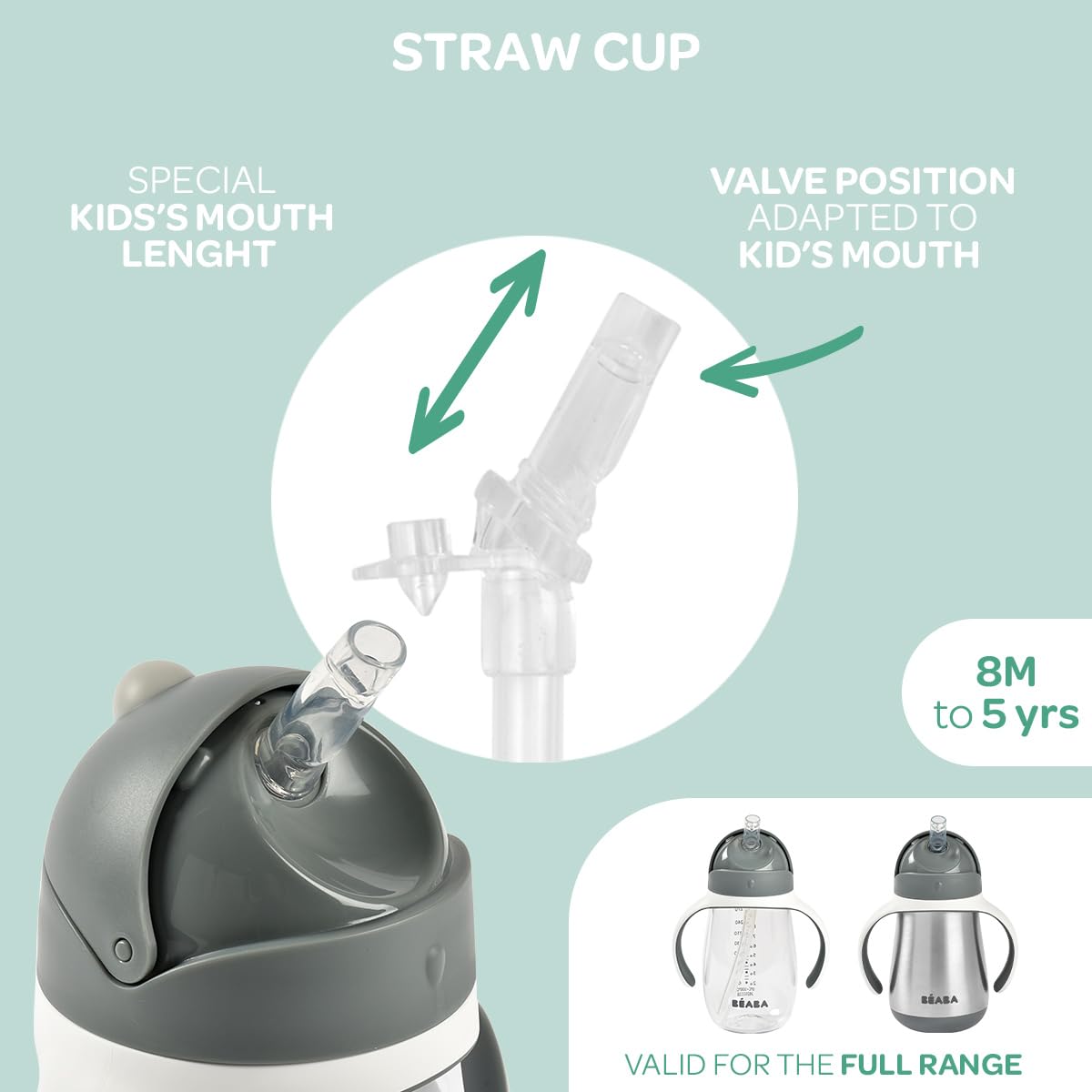 BEABA Straw Sippy Cup, Toddler Baby Straw Cup with Removable Handles, Leak and Spill Proof, BPA Phthalate Free, 8+ months, 10 oz, (Rain)