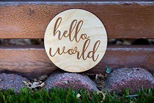 Baby Milestone Wood Circles