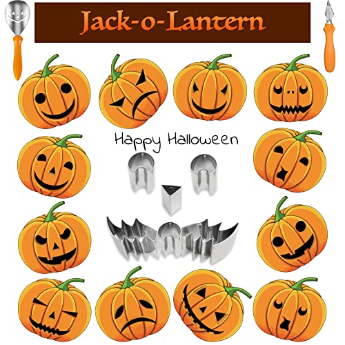 365park Pumpkin Carving Kit,11PCS Carvable Pumpkin Carving Tools for Halloween Decorations,Heavy Duty Stainless Steel Pumpkin Carving Tools Set Gift for Halloween