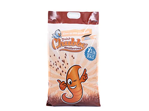 11lb Chubby Mealworms Bulk Dried Mealworms High Protein Treat for Chickens, Ducks, Birds and Much More