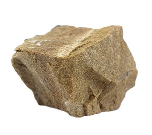 6PK Raw White Sandstone, Sedimentary Rock Specimens - Approx. 1" - Geologist Selected & Hand Processed - Great for Science Classrooms - Class Pack - Eisco Labs