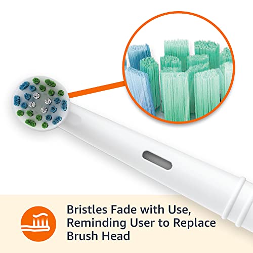 Amazon Basics Rechargeable Electric Toothbrush with 1 handle, 2 Action Clean Brush Heads and 1 Charger, Battery Powered, 4 Piece Set, White