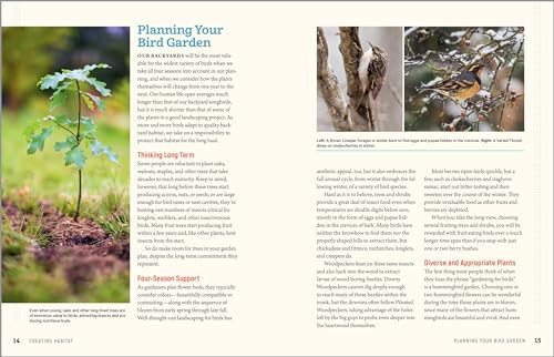 100 Plants to Feed the Birds: Turn Your Home Garden into a Healthy Bird Habitat