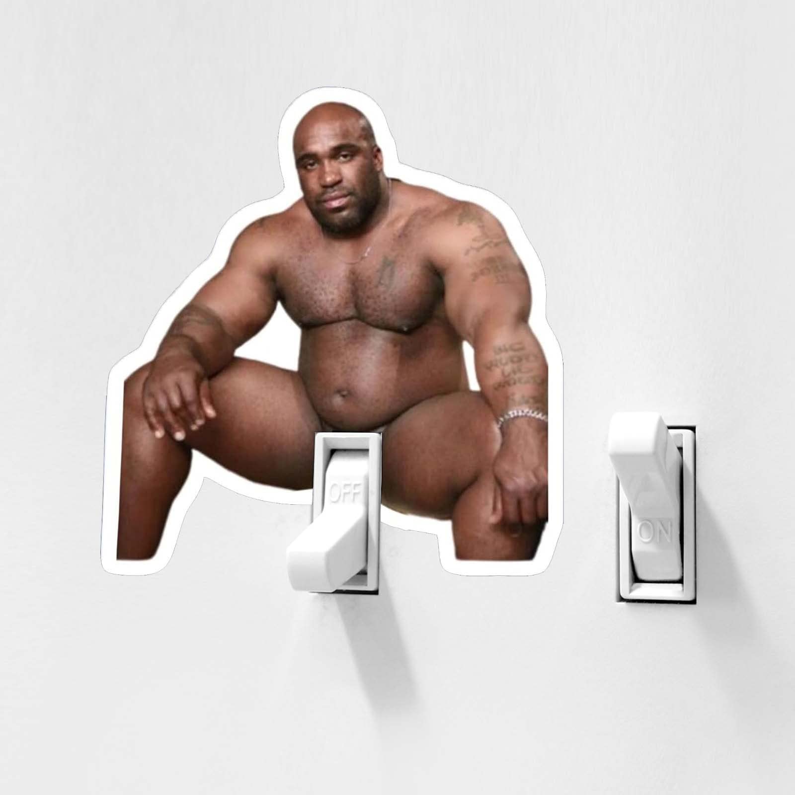 10pcs Funny Barry Wood Light Switch Sticker Decals, Waterproof Vinyl Prank Joking Wall Stickers for Living Room, Car, Laptop Skins, Skateboard, Computer, Tumblers, Phone, Bumper (10Pcs)