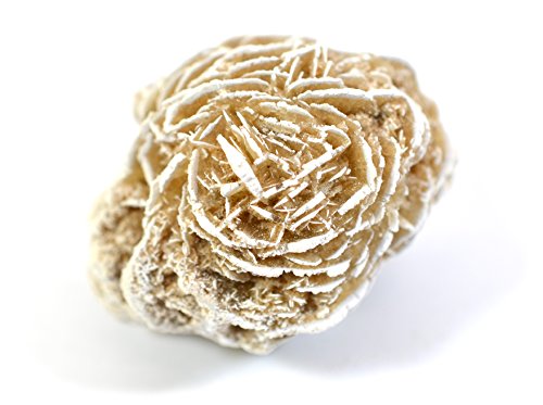 2" Desert Rose Specimen (Selenite), Single Piece
