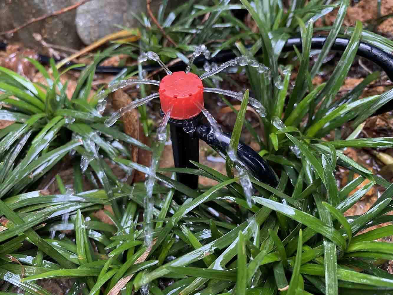 ZILIM 50PCS Drip Emitters Sprayer with 8 Hole, 360 Degree Dripper Perfect for Irrigation System Watering Kits, Adjustable for 1/4inch(7 x 4mm) Irrigation Tube Hose, Garden Patio Lawn Flower Bed
