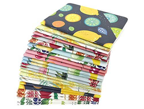 Alimitopia 24pcs Mini Notebook,Portable Pocket Journal Steno Memo Notebook MiniDaily NotePad (Fruit Patterns (24pcs))