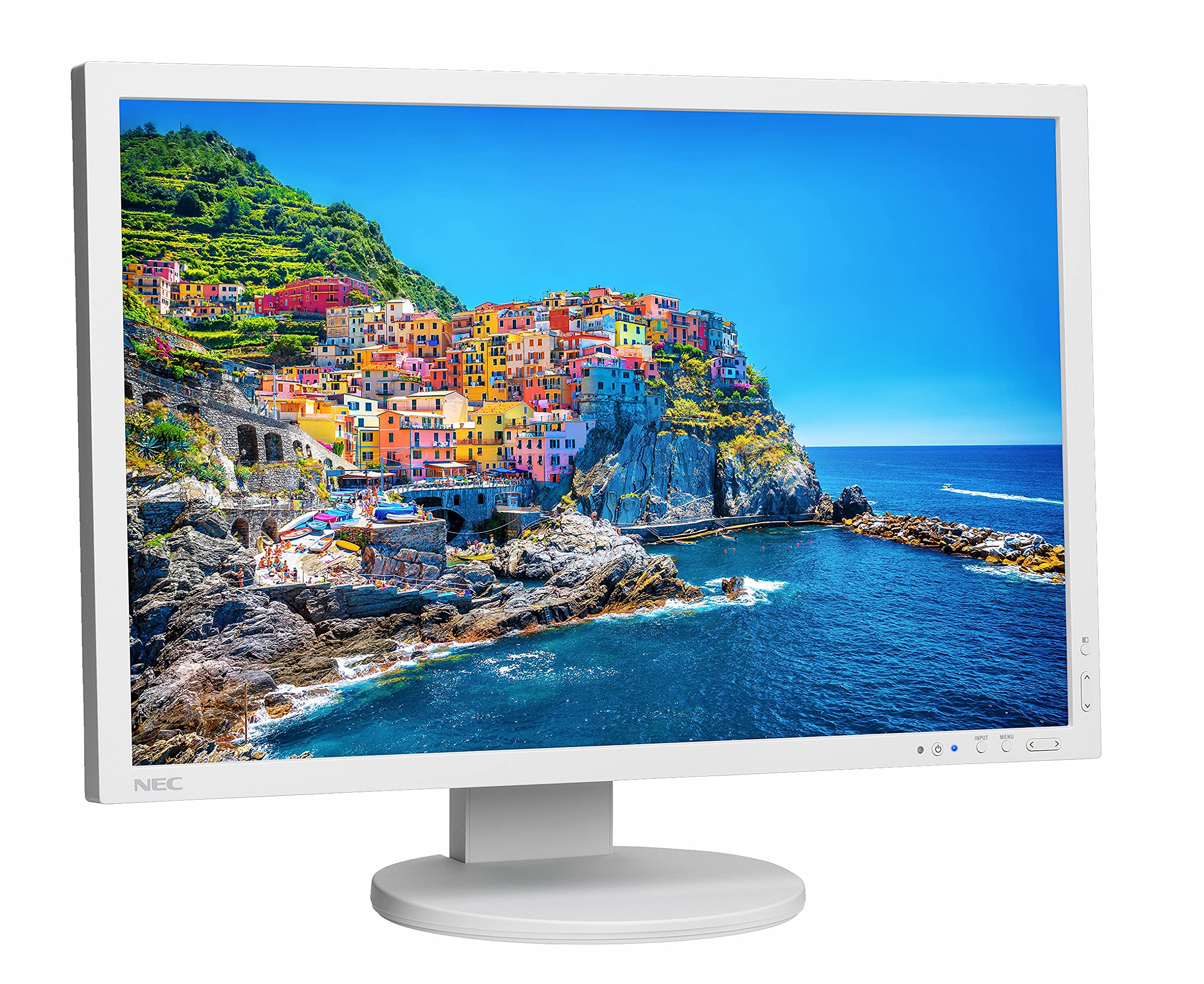 24IN WS LCD 1920X1200 PA243W DP