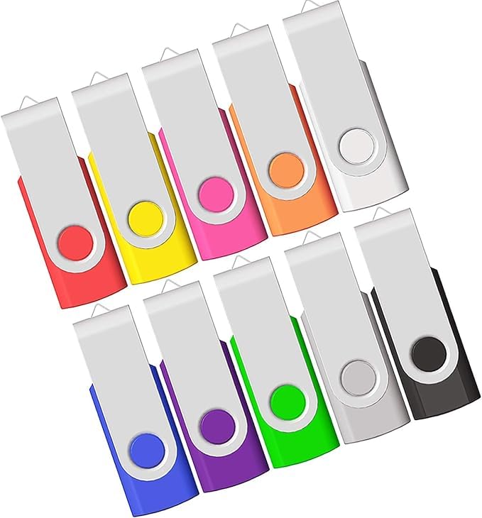 2GB USB Flash Drives 10 Pack and USB Case of 10 Slots Bundle USB Holders to Organize 10 Thumb Drives 2 GB