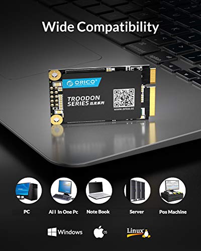 ORICO M200 256GB mSATA SSD Hard Solid Drive- 3D NAND TLC - SATA III - 6Gbps-Internal Solid State Drive for Desktop Laptop -M200 (256GB)