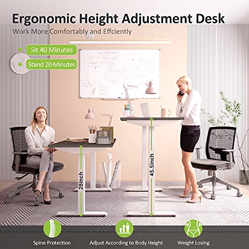 ALFA FURNISHING Quick Install Standing Desk, 48 X 30 Inches Dual Motor Electric Stand Up Desk, Adjustable Height Sit Stand Desk with Whole-Piece Desktop, 4 Pre-Set Memory(Walnut Top+White Frame)
