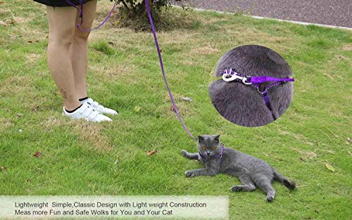 AMAGOOD 6 FT Puppy/Dog Leash, Strong and Durable Traditional Style Leash with Easy to Use Collar Hook,Dog Lead Great for Small and Medium and Large (Purple,5/8" x 6 Feet)