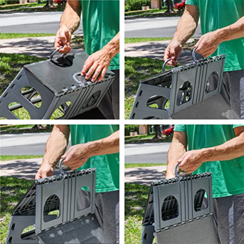 Bee Neat 2 Step Folding Step Stool for Pets and Dogs - Indoor Outdoor Foldable Pet Stairs Ideal for High Bed, Car, SUV & More β Collapsible Step Stool Ladder Supports 200lbs - Gray