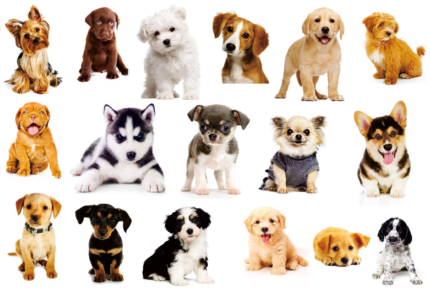 17PCS Dogs Wall Sticker 3D Pet Stickers for Kids Wall Decals Living Room Baby Rooms Bedroom Toilet House Wall DIY Decoration… (Blown-17dogs)