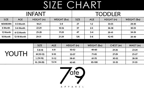 7 ate 9 Apparel Boy's One 1st 1 First Birthday Dinosaur Spike Dino Grey Raglan Tee 18 Months